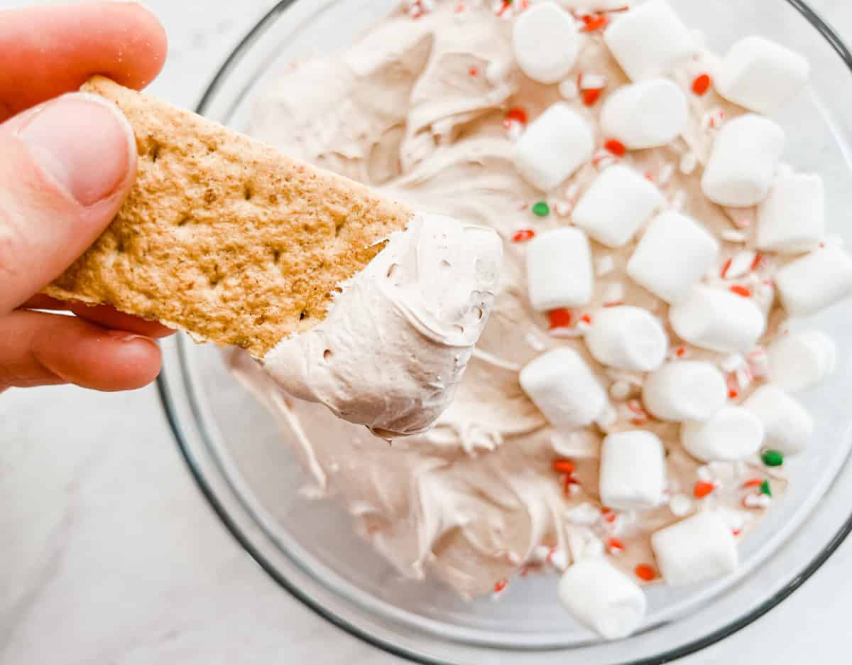 3 Ingredient Hot Cocoa Dip Recipe - Fox Farm Home