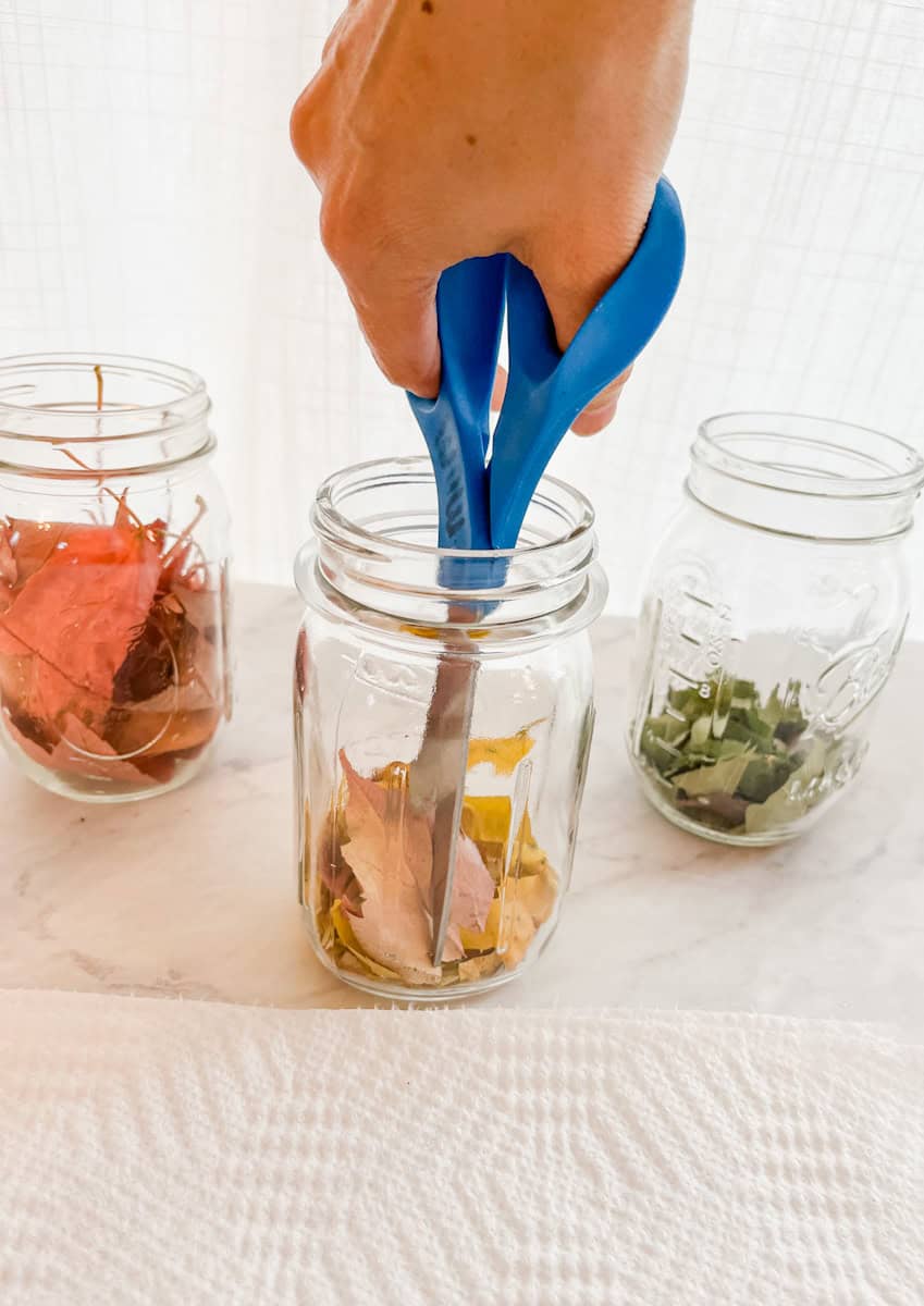 Leaf Chromatography Science Experiment For Kids - Fox Farm Home