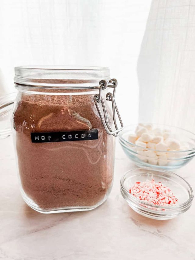 Homemade Hot Cocoa Mix Recipe {Easy & Delicious} - Fox Farm Home