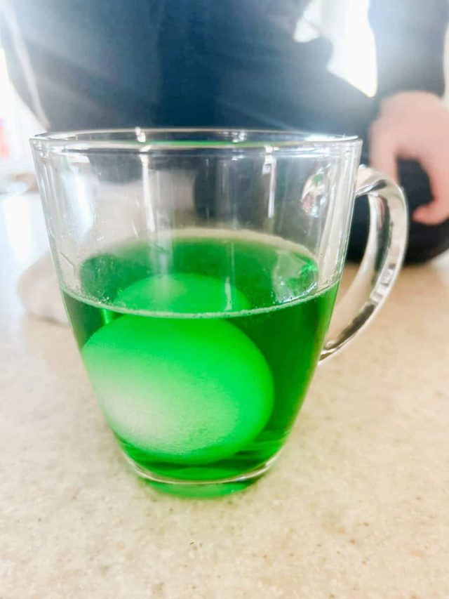 Glowing Rubber Egg Experiment- Fun Science Activity - Fox Farm Home