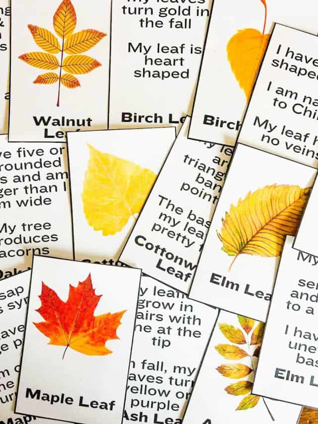 Free Printable Fall Leaves Flashcards & Coloring Sheet - Fox Farm Home