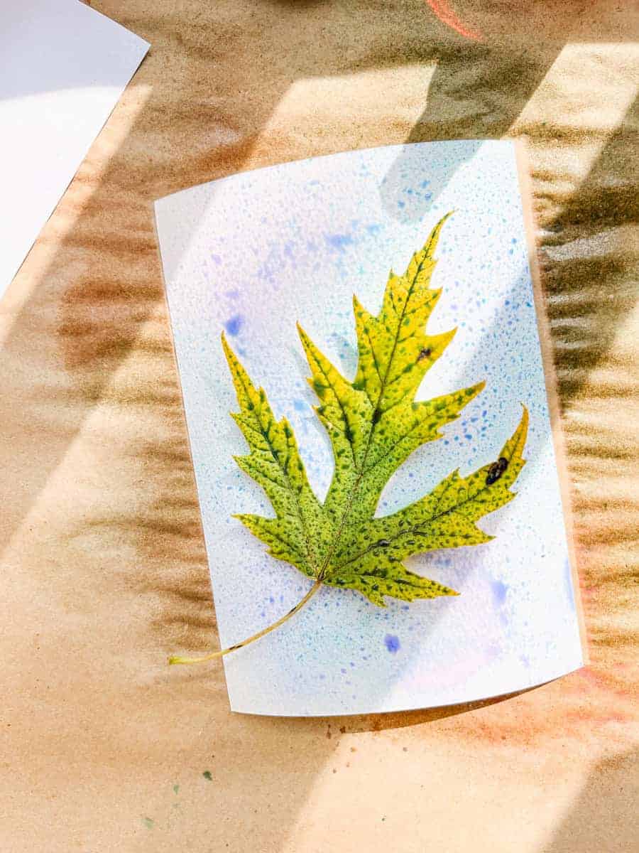 Leaf Spray Painting Art Activity - Fox Farm Home