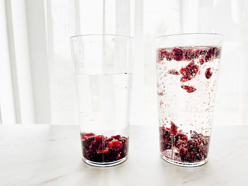 Dancing Raisins Science Experiment - Fox Farm Home