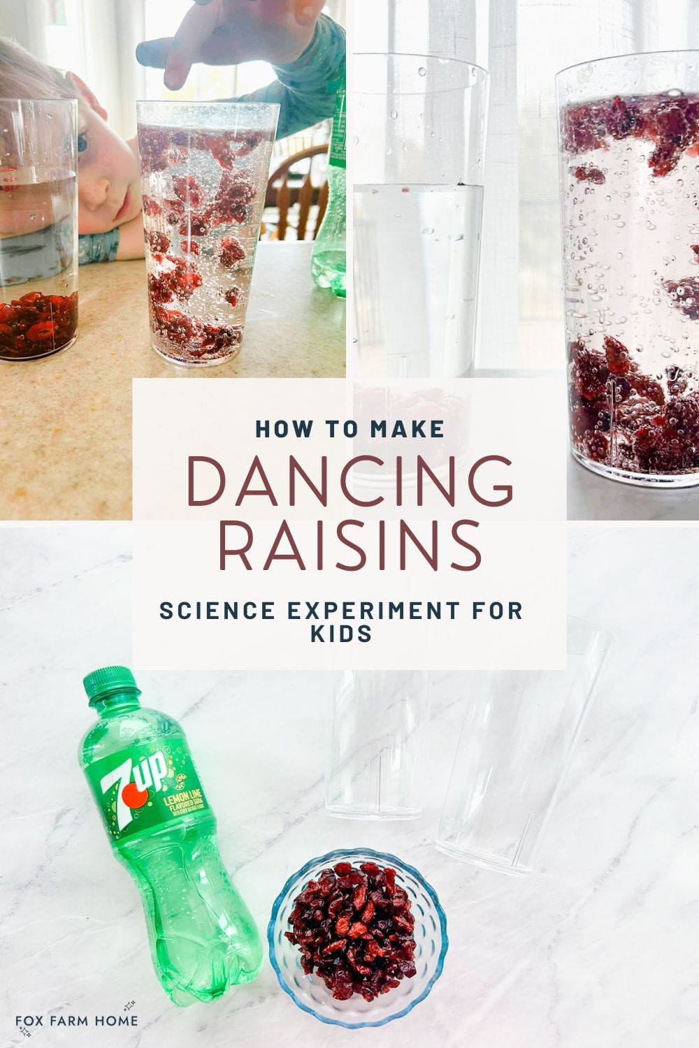 Dancing Raisins Science Experiment - Fox Farm Home