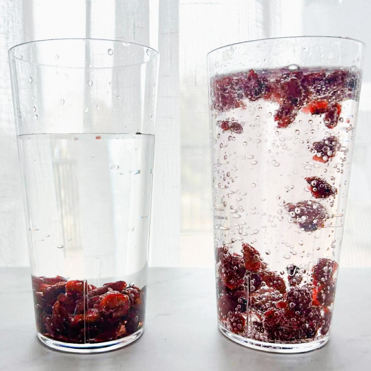 Dancing Raisins Science Experiment - Fox Farm Home